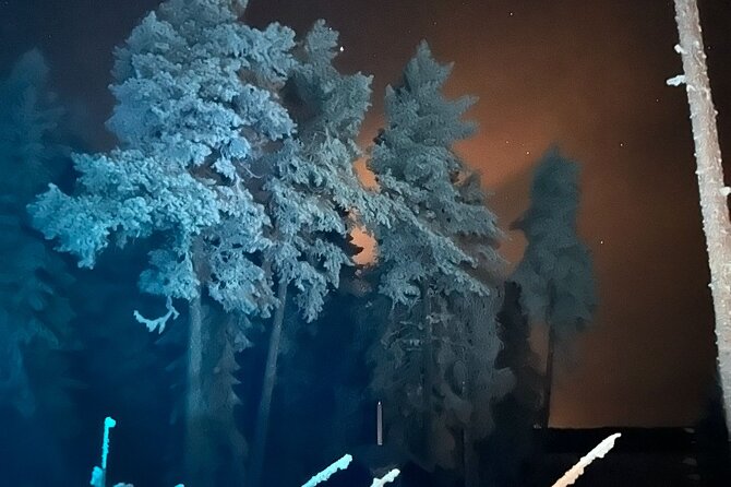 PRIVATE Glass Igloo Dinner Under Northern Lights - A Culinary Journey With a 3-Course Dinner