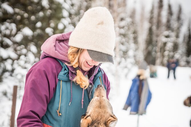 Private Guided Dog Sledding on the Historic Yukon Quest Trail - Scenic Views Along the Chena River