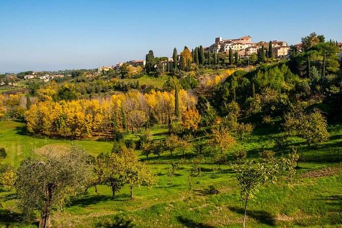 Private Guided Tour to Pisa and Local Wine Farm From Livorno - Tour Accessibility and Additional Info