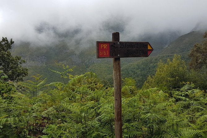 Private Guided Walk Levada 25 Fontes - Important Information for Participants