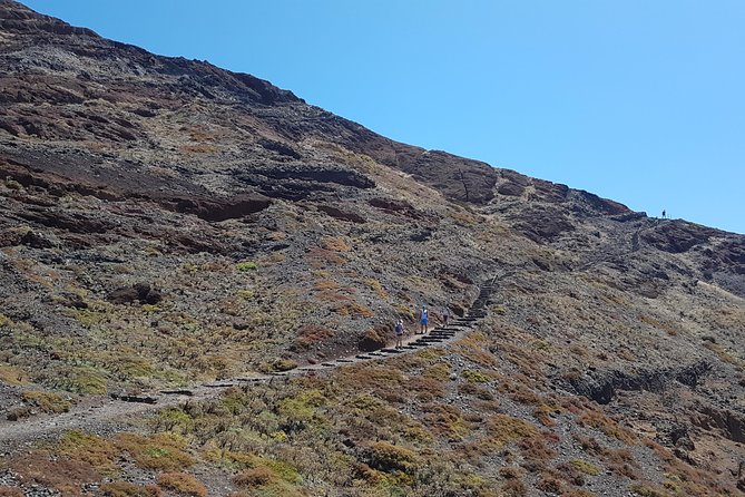 Private Guided Walk Ponta São Lourenço - Pricing and Booking Options