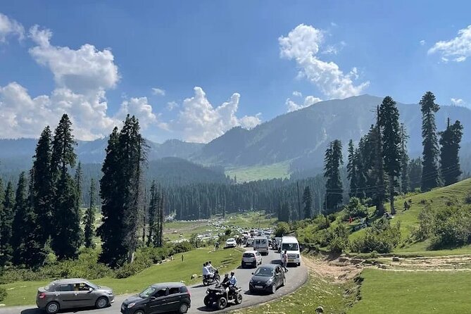 Private Kashmir Family 7-Day Tour - Transportation, Hotels, and Guides