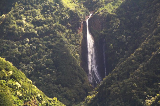 Private Kauai Airplane Tour - Pilot Expertise and Customer Feedback