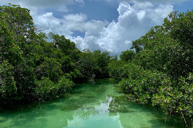 Private Key West Sandbar and Paddle by Boat - Who Should Book This Tour?
