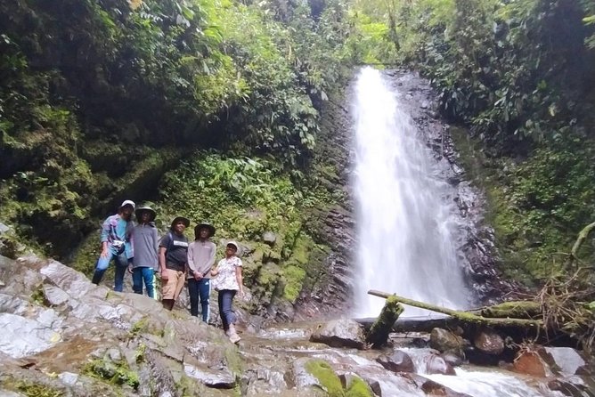 PRIVATE Mindo Tour With Birds, Butterflies, Zip-Line, Chocolate - Indulge in Artisanal Chocolate