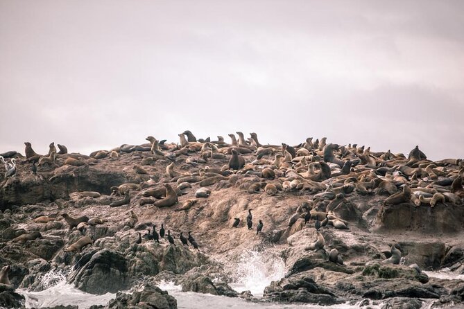 Private Sailing Tour of Bodega Bay - Pricing and Cancellation Policy