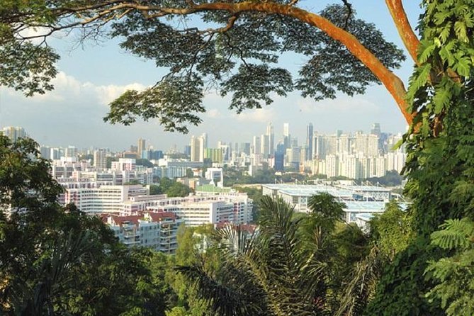 Private Singapore Full Day Round Island Tour with River Cruise - Who Will Love This Tour?