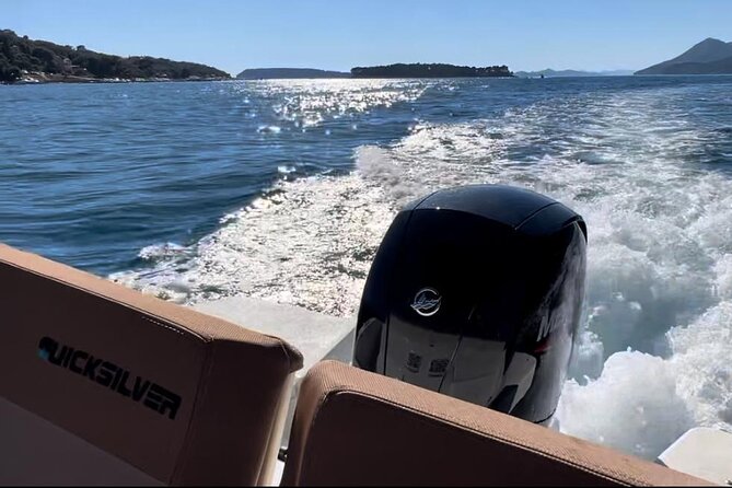 Private Speedboat Tour Review: A Must-Do - Professional Skipper and Seamless Pickup