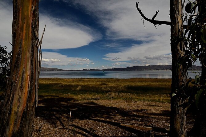 Private Tiwanaku and Titicaca Day Trip From La Paz - Cultural Points of Interest