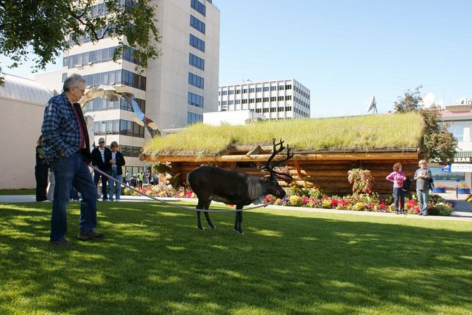 Private Tour: Anchorage 3-Hour Tour - Accessibility and Additional Information