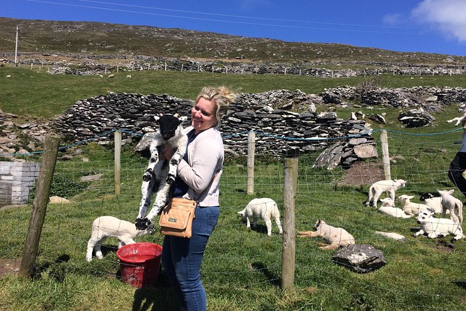 Private Tour of Dingle and Slea Head With Accredited Guide - Accessibility and Logistics