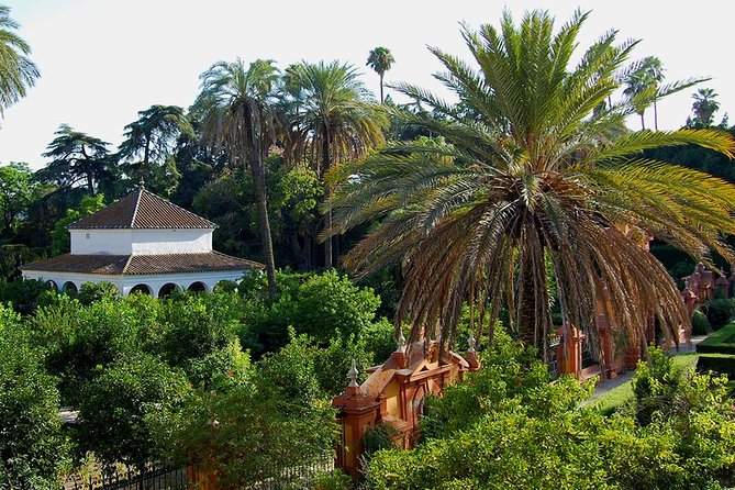 Private Tour One Day in Seville - Accessibility