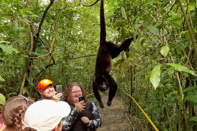 Private Tour Rio Celeste, Waterfalls, Rainforest, Sloth Encounter - Tour Experience and Highlights
