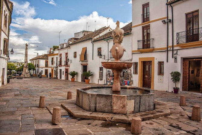 Private Tourist Route in Córdoba - Customer Reviews and Feedback