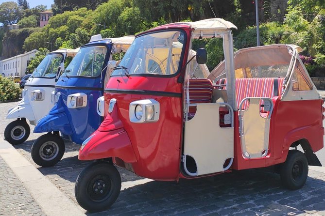 Private Tuk Tuk Tour to Old Town + Monte in Funchal - Scenic Viewpoints