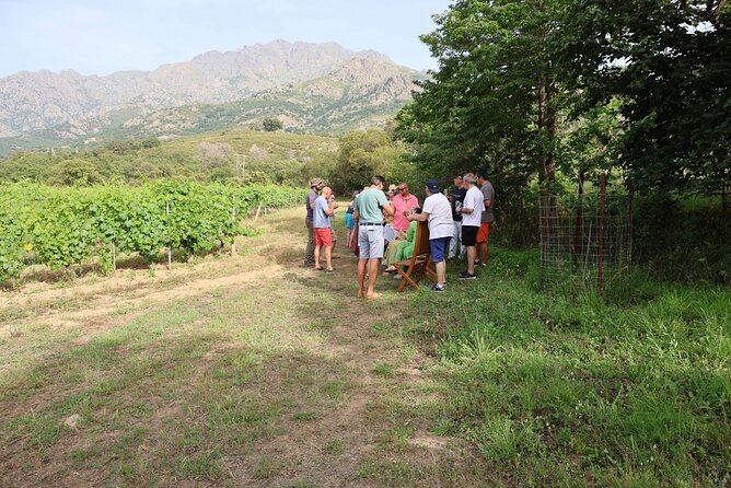Private Wine Tasting Tour Around Ile Rousse and Calvi - Meeting and End Points