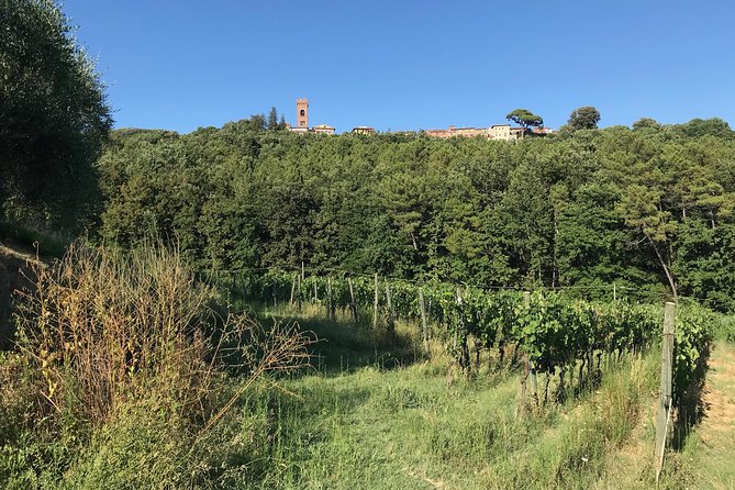 Private Wine Tour on the Magical Hills of Lucca (2 Wineries) - Accessibility and Participation