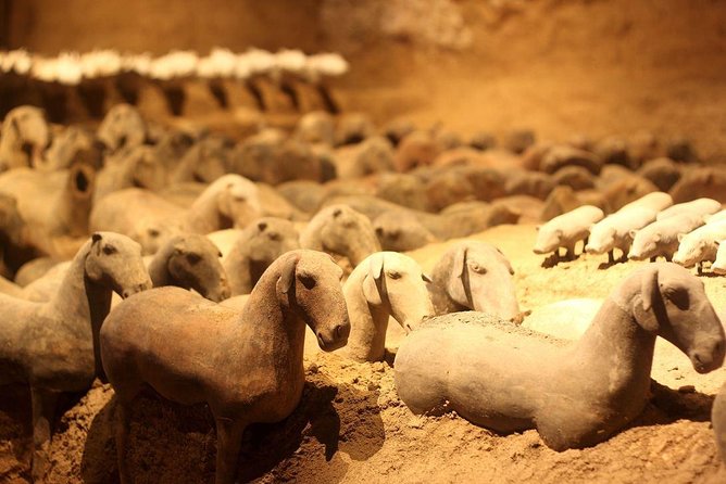 Private Xi'an Tour: Terracotta Warriors, Hanyangling Museum, Cave Homes - The Grand Tomb of Emperor Jingdi at Hanyangling