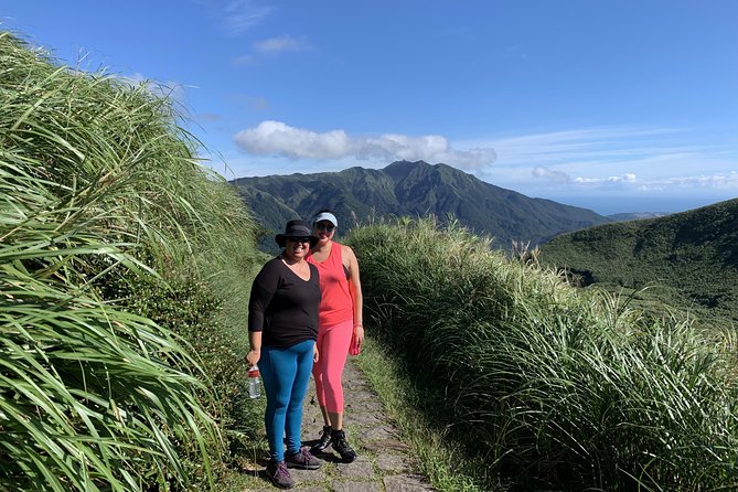 Private Yangmingshan Volcano Tour - Wrapping Up