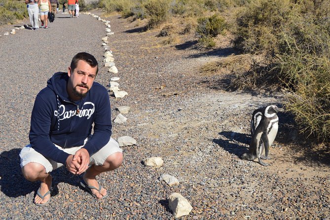Punta Tombo Tour, the Penguin Experience - Booking Flexibility and Payment Options