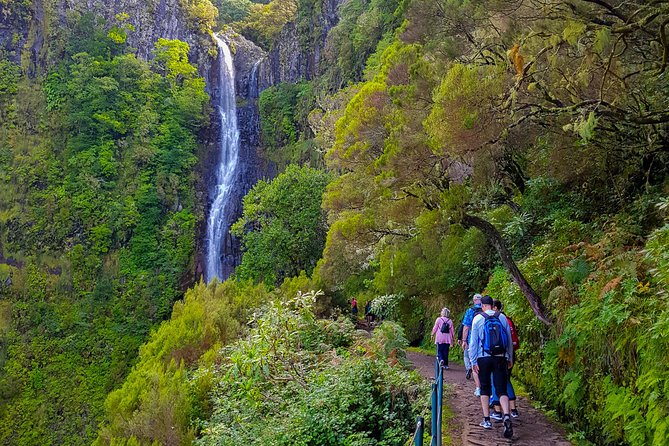 Rabaçal 25 Fontes Levada Walk in Small Groups - Terrain and Difficulty Level