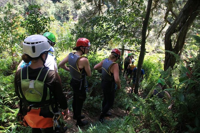 Rappel Maui Waterfalls and Rainforest Cliffs - Why This Tour Offers Unique Value