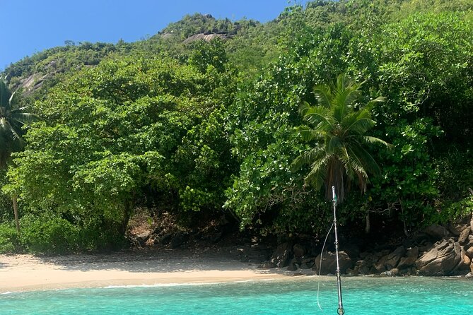 Reef Safari - Snorkeling, Fish Feeding & Lunch (Shared Day Trip) - Snorkeling Adventure