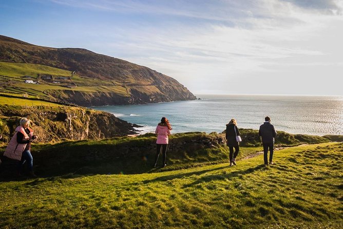 Ring of Kerry Day Tour From Cork: Including Killarney National Park - Inclusions