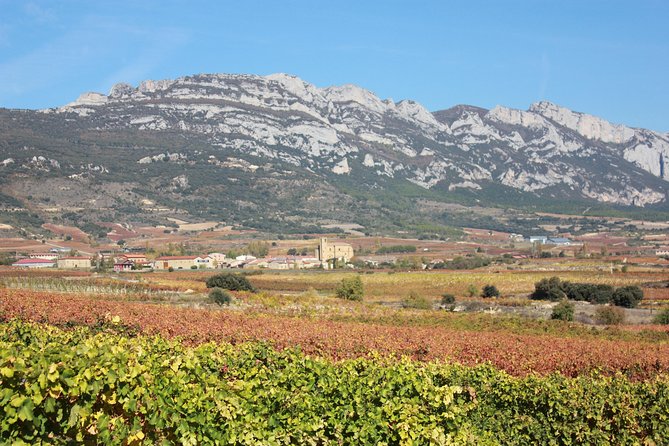 Rioja Full Experience Tour From San Sebastian With Lunch - The Delights of a Traditional Three-Course Lunch