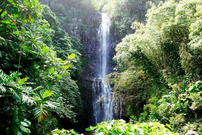 Road to Hana in Mercedes Van: Waterfalls and Black Sand Beach - Final Thoughts
