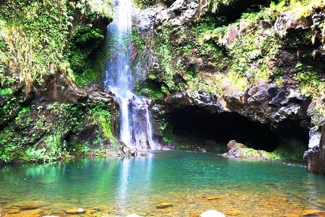 Road to Hana Private Jungle Tour - Exploring the Lush Jungles