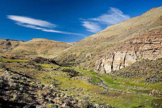 Safari Experience - Wildlife & Steppe - Tour Itinerary and Activities
