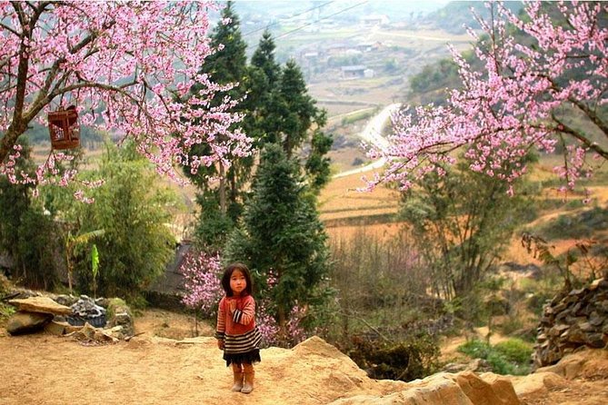 Sapa 3 Days 2 Nights Trekking Tour (1 Night In Ta Van Village, 1 Night In Hotel) - Who Should Consider This Tour?
