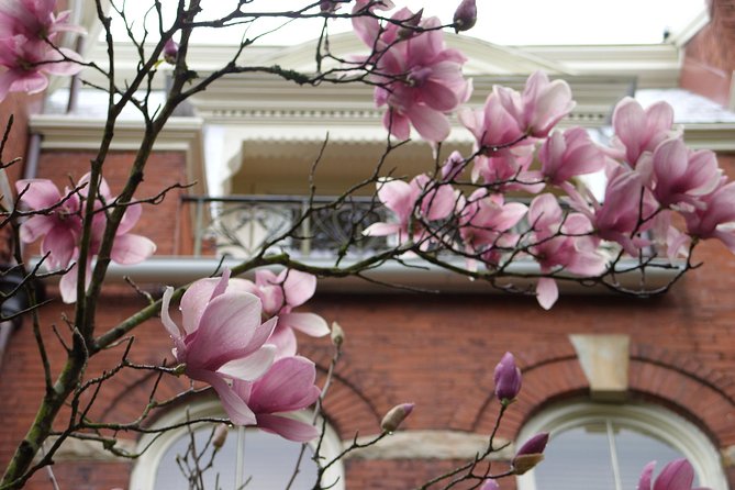 Savannah Historic District Walking Tour - FAQs