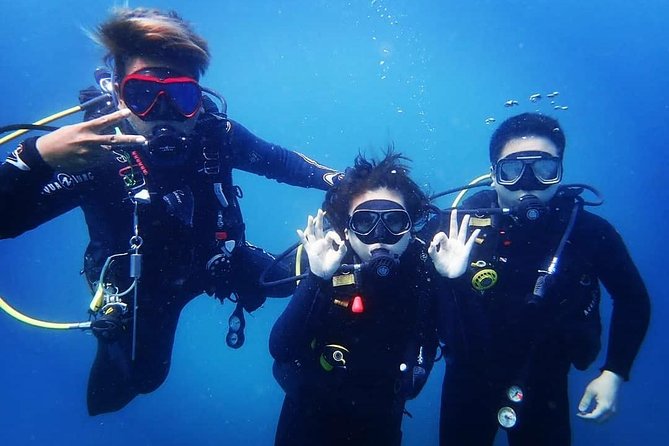 Scuba Diving in Nusa Penida - Manta Point - The Marine Environment and Wildlife