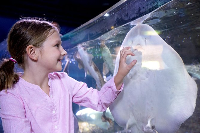 SEA LIFE Aquarium Arizona Admission Ticket - Final Thoughts: Is SEA LIFE Arizona Worth It?
