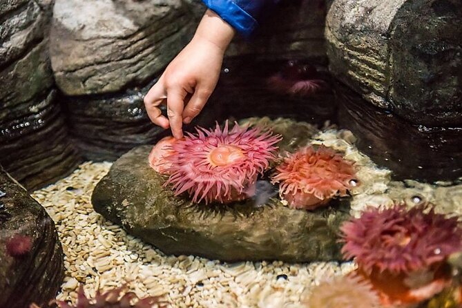 SEA LIFE Orlando Aquarium - The Sum Up: Who Will Love SEA LIFE Orlando Aquarium?