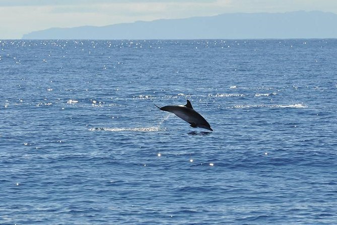 Seaborn Catamaran trips - Final Thoughts