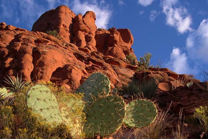 Sedona Red Rocks Outback Tour: Scenic with mild off-roading - Practical Tips for Participants