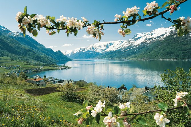 Self-Guided 22-Hour Round Trip From Oslo To Sognefjord With Flåm Railway - Accessibility and Booking Information