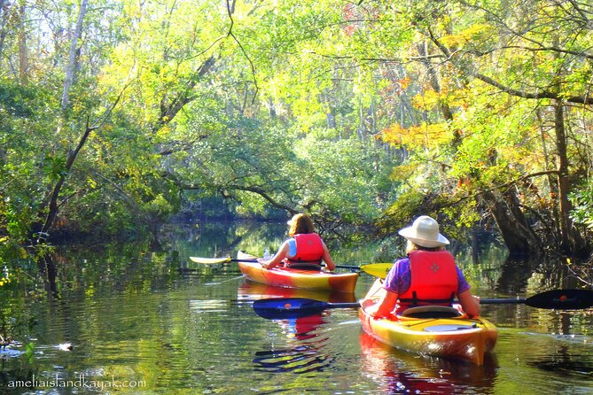 Self Guided Family Friendly Kayak Rental Experience Old Florida - Wildlife Observation Opportunities