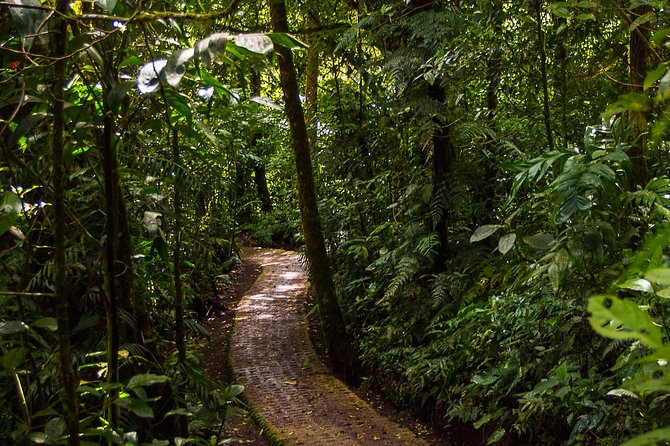 Selvatura Park Combo Tour From Monteverde - Pricing and Availability