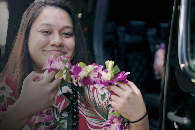 Shared Round-Trip Transfer: Honolulu Airport to Hotel or Cruise Terminal - The Ride from Airport to Hotel or Cruise Terminal