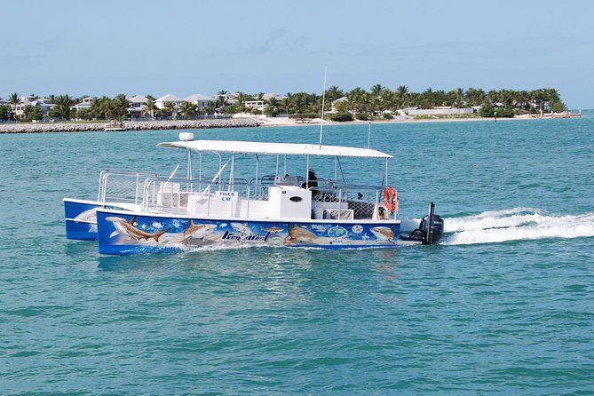 Shark and Wildlife Viewing Adventure in Key West - The Value and What You Get for 