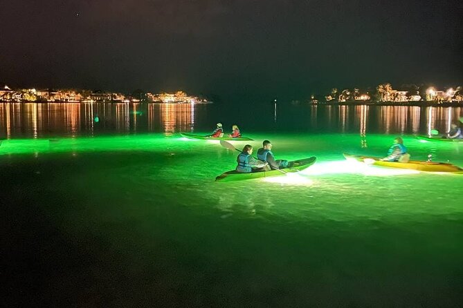 Sharkey's Glass Bottom Fish Feeding LED Night Tour in Sarasota - Challenges and Considerations