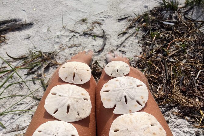 Shell Key Ferry from Ft. DeSoto Boat Ramp in Tierra Verde, FL - Final Thoughts