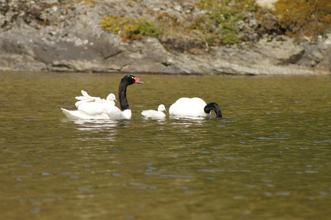Shore Excursion - National Park Tierra Del Fuego - Booking Information