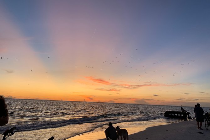 Siesta Key Electric Bike Sunset Tour - Authentic Feedback from Travelers