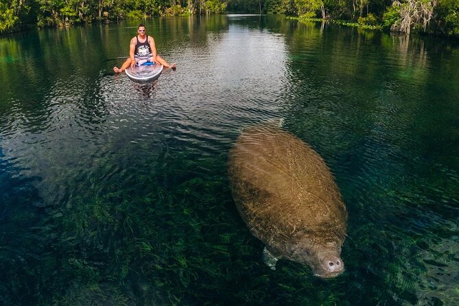 Silver Springs: Clear Kayak Wildlife Adventure - FAQs