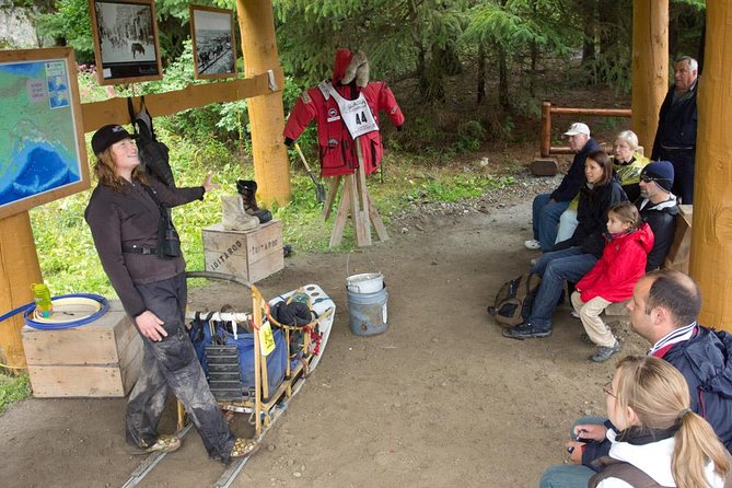 Sled Dog Adventure in Skagway - Who is This Tour Best For?